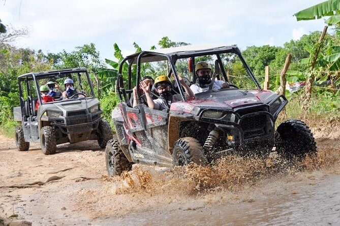 Family Polaris - Suzuka Tours Punta Cana - Key Points