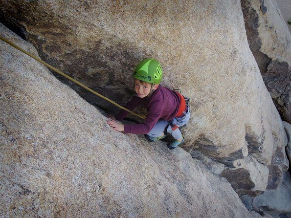Family Rock Climbing Trips in Joshua Tree National Park (4 Hours) - Why This Tour Is a Good Deal