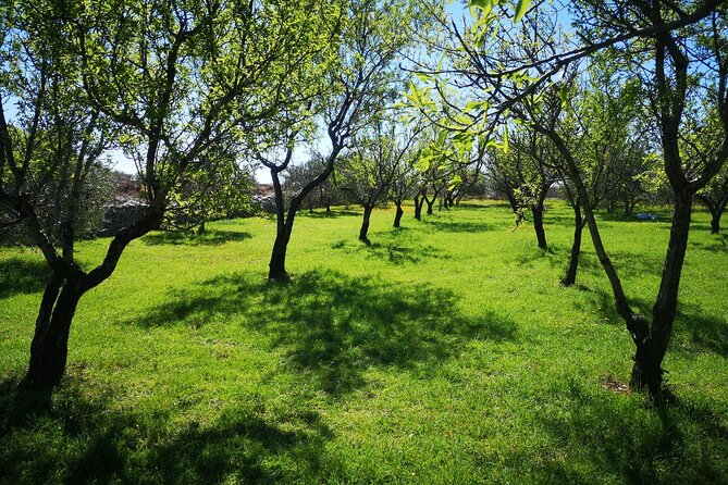 Family-run Vineyard Tour & Award Winning Wine Tasting/Delicacies - Who Should Consider This Tour?