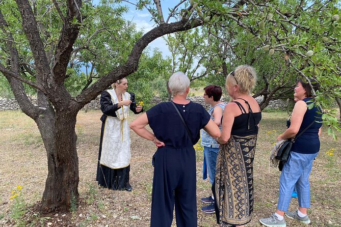 Family-run Vineyard Tour & Award Winning Wine Tasting/Delicacies - The Sum Up