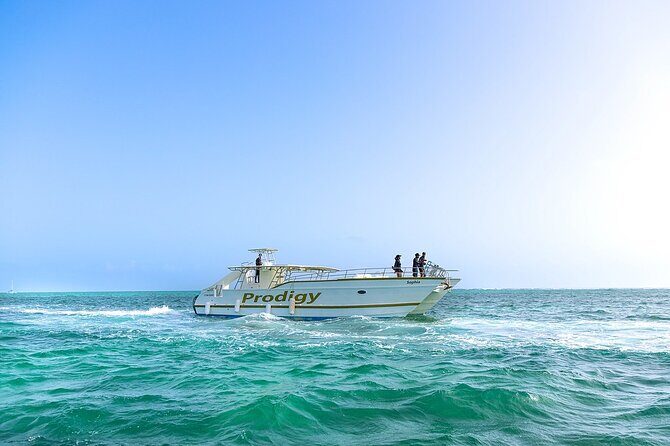 Family Shared Boat - The Sum Up: Is the Family Shared Boat Tour Right for You?