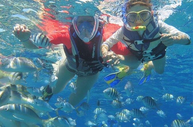 Family Snorkeling Adventure Punta Cana - Practical Details and Value