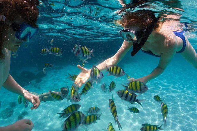 Family Snorkeling Adventure Punta Cana - The Sum Up