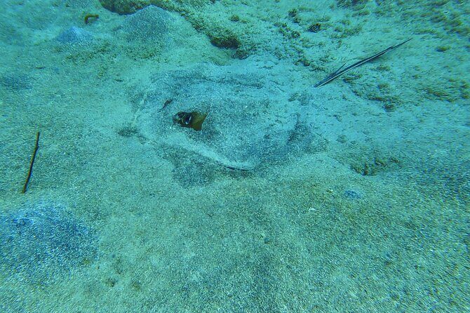 Family Snorkeling Tour - Why This Tour Offers Good Value