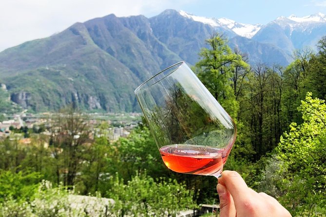 Family tasting - A little tasting - Family Tasting – A Little Tasting: A Genuine Wine Experience in Lake Maggiore