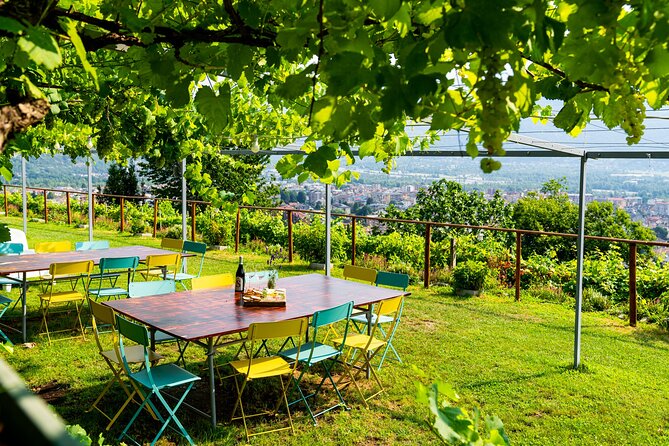 Family tasting - A little tasting - Final Thoughts: Is It Worth It?