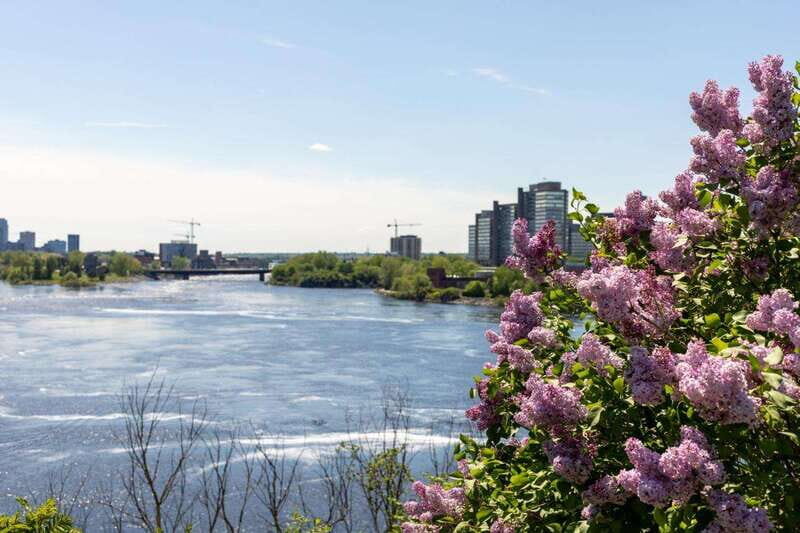 Family Walking Tour in Ottawa: Special Highlights - Final Thoughts