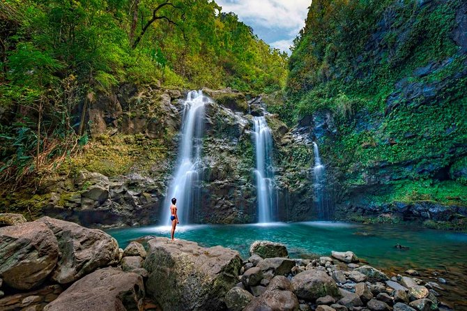 Famous Road to Hana Waterfalls and Lunch by Mercedes Van - The Value of This Guided Tour