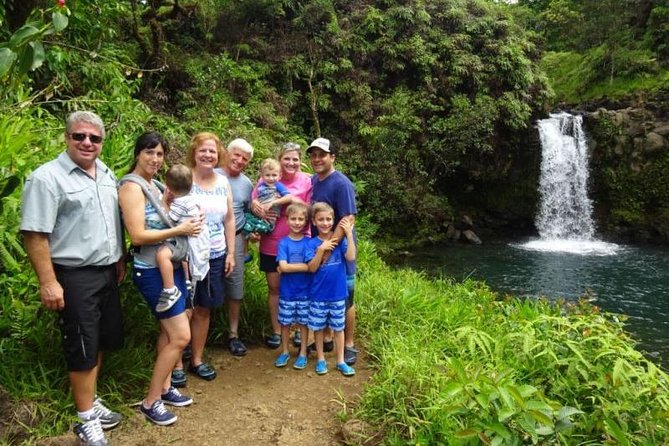 Famous Road to Hana Waterfalls and Lunch by Mercedes Van - Who Should Book This Tour?