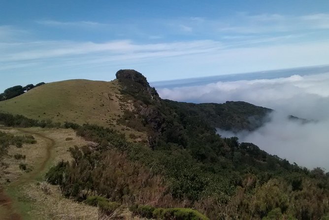 Fanal -Enchanted Forest - The Enchanted Beauty of Fanal Forest