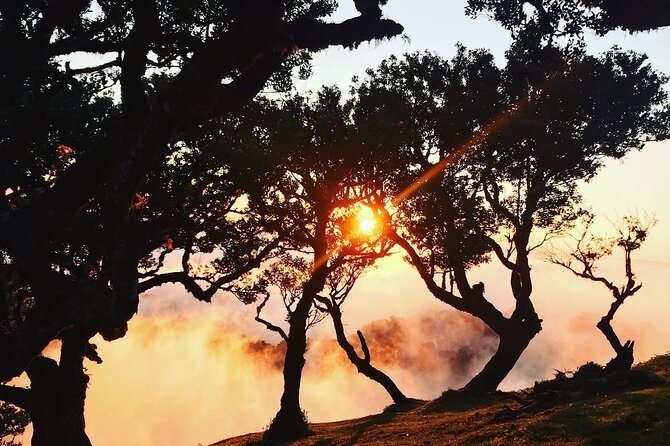 Fanal Forest Private Sunset Hike - Personalized Tour Experience