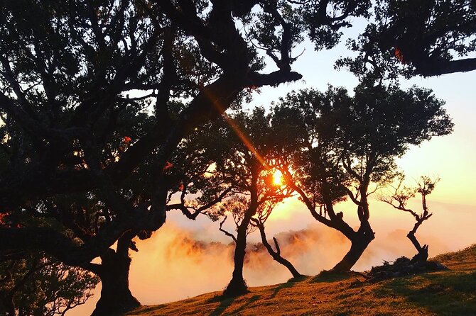 Fanal Forest Private Sunset Hike - Frequently Asked Questions