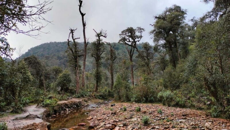 Fansipan Mountain 1-Day Trekking Tour - Who Should Consider This Tour?