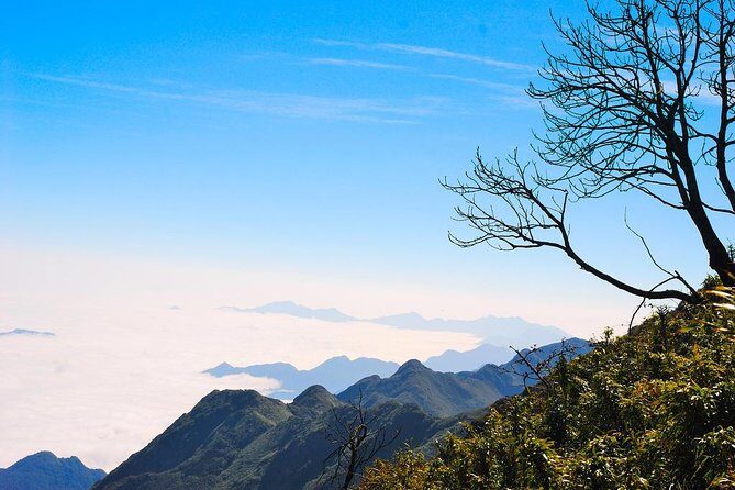 Fansipan Mountain Trekking 2 days 1 night - Who Should Consider This Tour?
