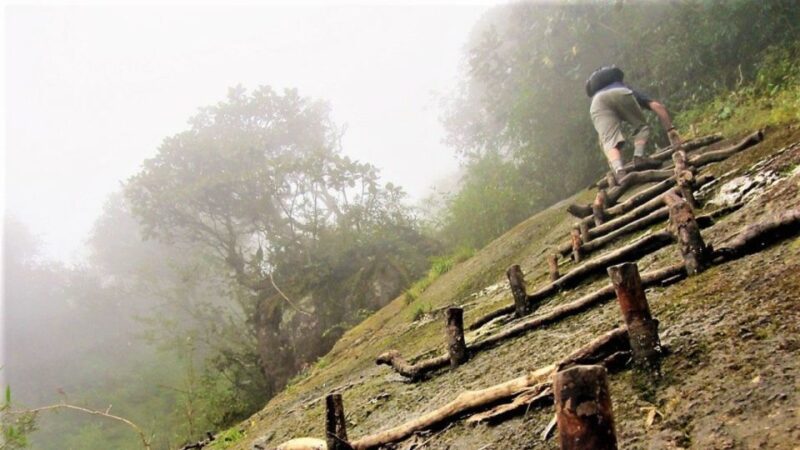 Fansipan Trek One Day Tour  Roof Of Indochina - A Balanced Overview: Pros and Cons