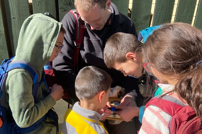 Fantastic Creatures of Edinburgh, and Where to Find Them! - Navigating the Treasure Hunt for Magical Creatures