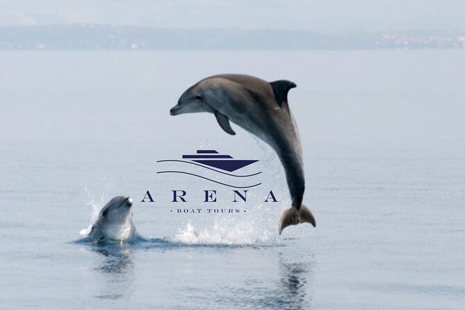 Fantastic DOLPHIN & SUNSET TOUR with dinner (Pula - NP BRIJUNI) - The Itinerary in Detail