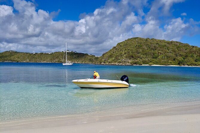 FANTASTIC Green Island and Sea Turtles - Half Day share boat trip - In-Depth Review of the Green Island and Sea Turtles Tour