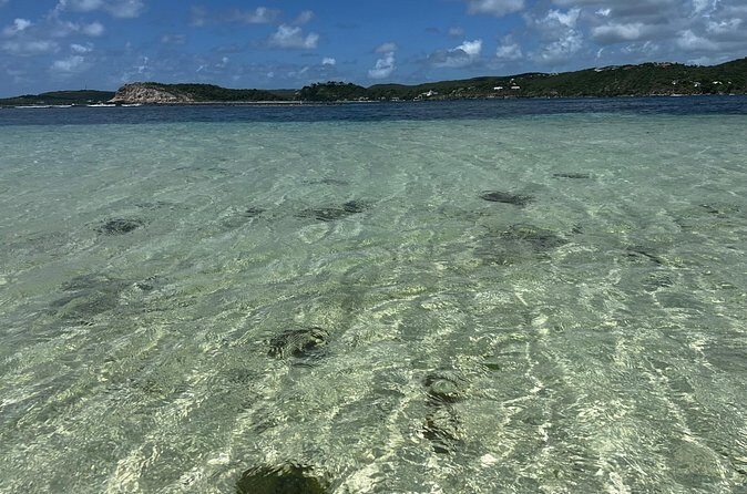 FANTASTIC Green Island and Sea Turtles - Half Day share boat trip - Final Thoughts: Is It Worth It?