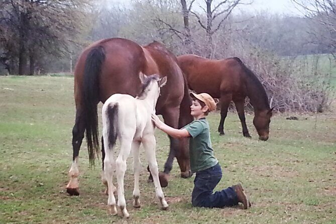 Farm Adventure Experience in Red Hill Ranch - Detailed Breakdown of the Itinerary