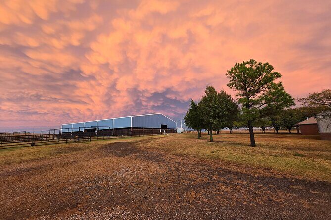 Farm Adventure Experience in Red Hill Ranch - The Sum Up