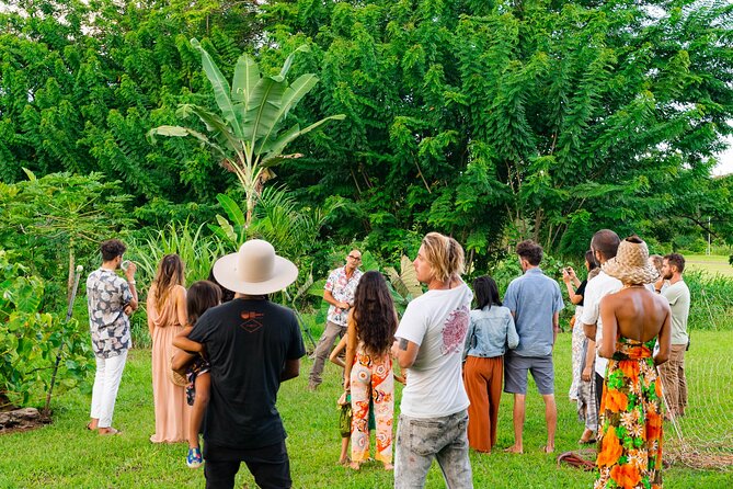 Farm and Food Experience in Kilauea - Tour Highlights and Itinerary