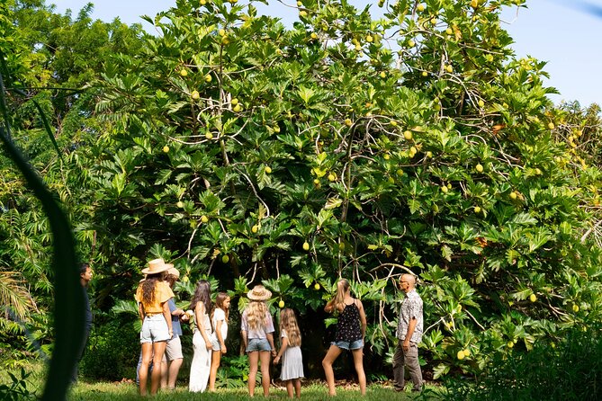 Farm and Food Experience in Kilauea - Culinary Delights and Dining Experience