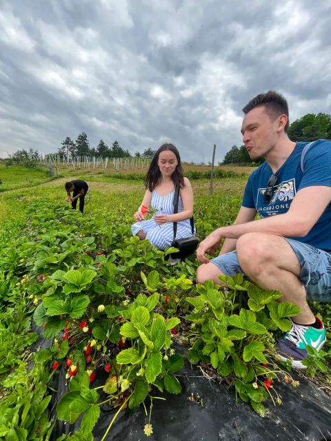 FARM STAY EXPERIENCE & DOZZA - Private Day Tour From Bologna - A Balanced Look at the Farm Stay & Dozza Private Day Tour from Bologna