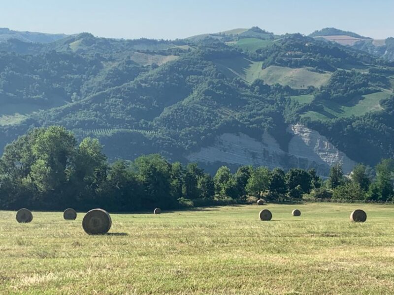 FARM STAY EXPERIENCE & DOZZA - Private Day Tour From Bologna - An In-Depth Look at the Farm Stay & Dozza Tour