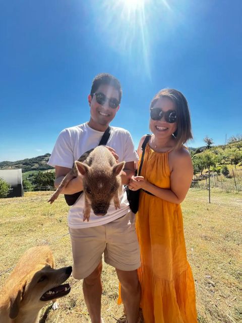 FARM STAY EXPERIENCE & DOZZA - Private Day Tour From Bologna - Final Thoughts: Is This Tour Right for You?