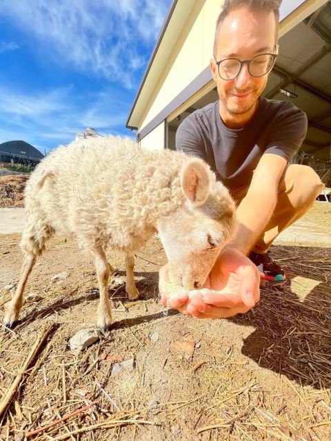 FARM STAY EXPERIENCE & DOZZA - Private Day Tour From Bologna - Final Summary