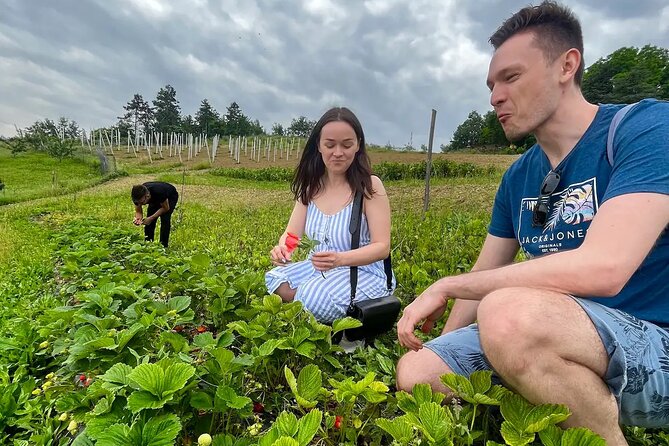 FARM STAY EXPERIENCE & DOZZA - Private Day Tour From Bologna - The Itinerary in Detail