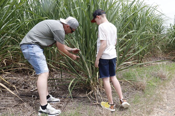 Farm to Bottle Tour at Prosperity Farm Distillery - Why Travelers Keep Coming Back