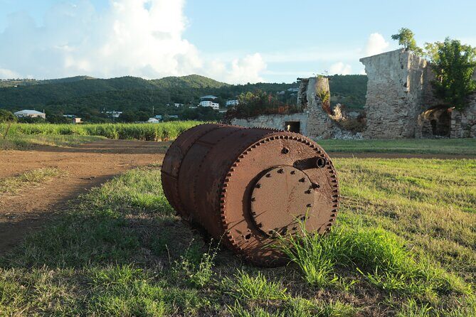 Farm to Bottle Tour at Prosperity Farm Distillery - The Sum Up: A Worthwhile Cultural Sip