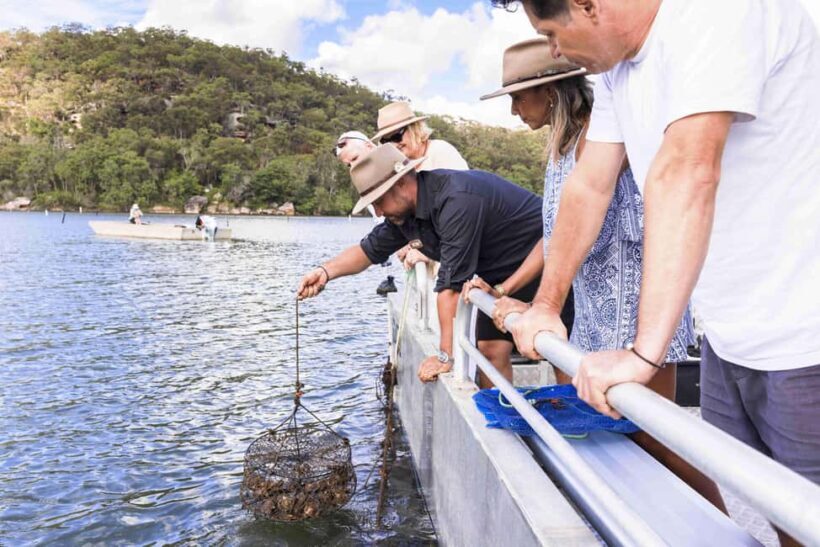 Farm to Plate - Sydney's Oyster Heartland - The Sum Up