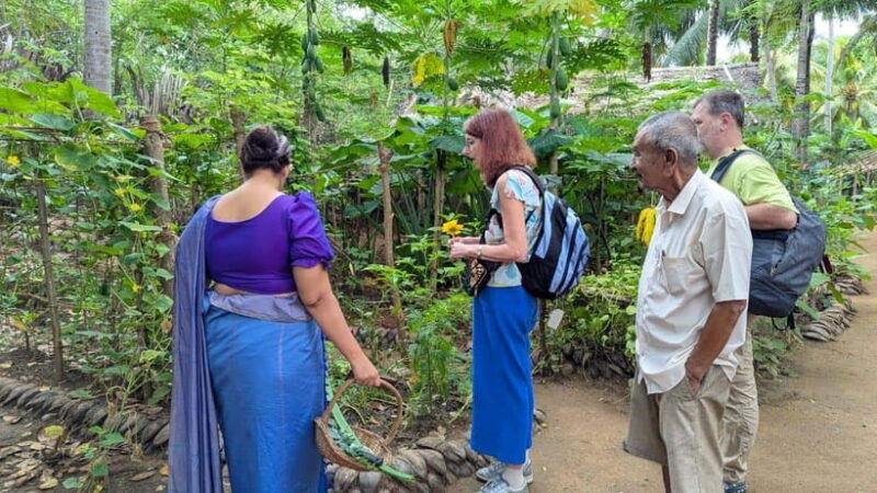 Farm to Table Cooking Class & Authentic Village Experience - The Itinerary: What You’ll Experience