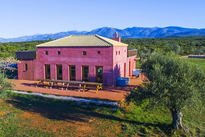 Farm-to-Table Cooking Class in an Organic Farm, Laconia, Greece! - The Sum Up