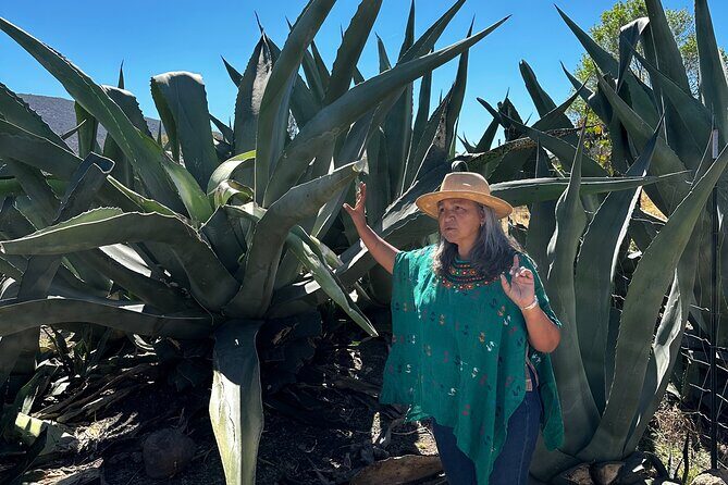 Farm to Table Cooking Experience in San Miguel - An Inside Look at the San Miguel Farm-to-Table Cooking Experience