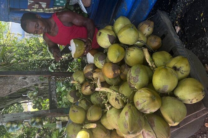 Farm To Table Dining Experience - What Is the Farm to Table Dining Experience?