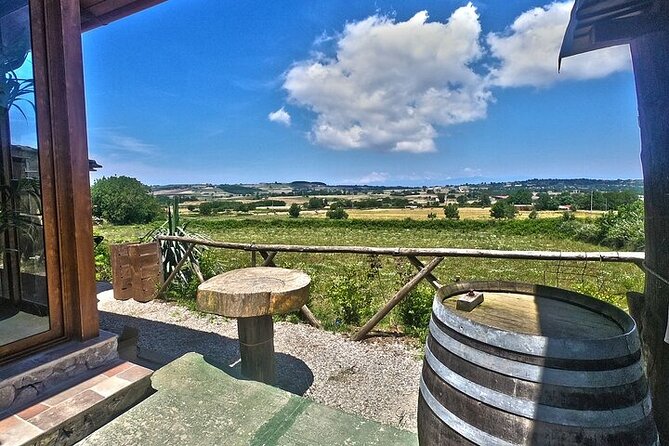 Farm-to-table Food Experience - Feedback From Previous Guests