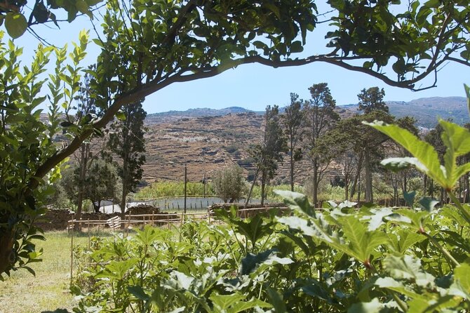 Farm to Table - Local Cooking Experience - Practical Details