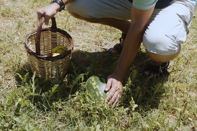 Farm to Table - Local Cooking Experience - Who This Tour Is Best For