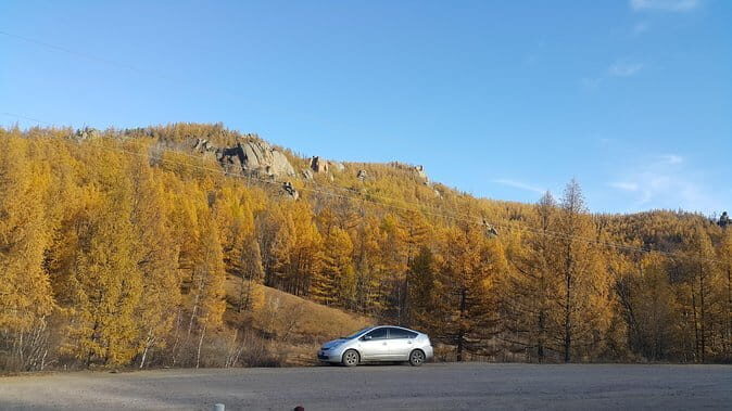 Farm to Table: Organic Farm Visit and Mongolian Cooking Class - Return Trip and Overall Experience