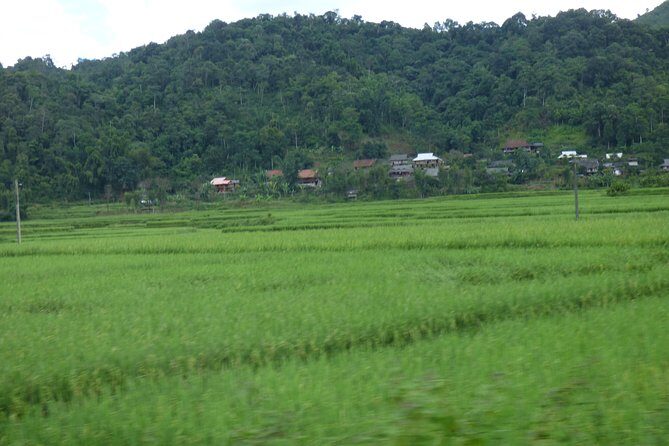 FARM TOUR AND HOME COOKING WITH LOCAL FAMILY IN HANOI 3-5 hours - Why This Tour Could Be Perfect for You