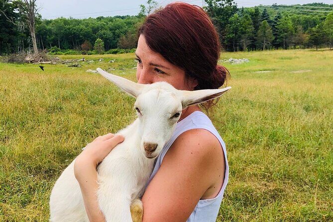 Farm Tour at Clover Brooke Llama/Alpaca/Goat Farm - An In-Depth Look at the Clover Brooke Farm Tour