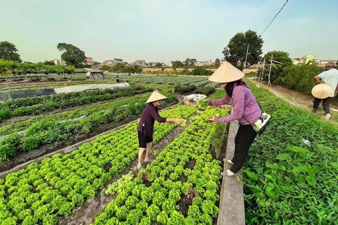 Farm tour & Home cooking class with local family in Hanoi - Final Thoughts