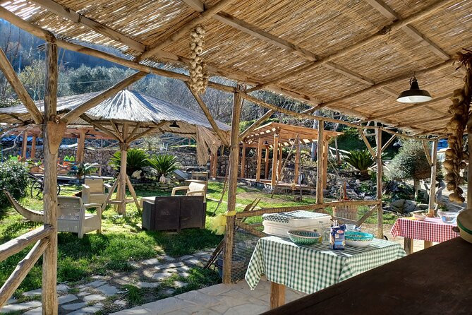 Farm tour with cheese & pizza experience, wine & Limoncello test - Group Size, Duration, and Value