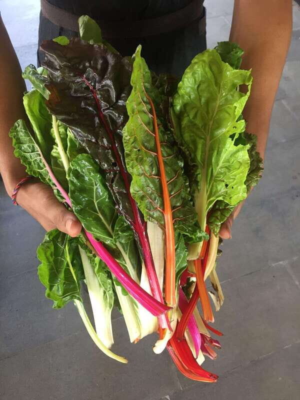 Farmer's Market + Street Food Walking Tour - Chef Curated - Frequently Asked Questions