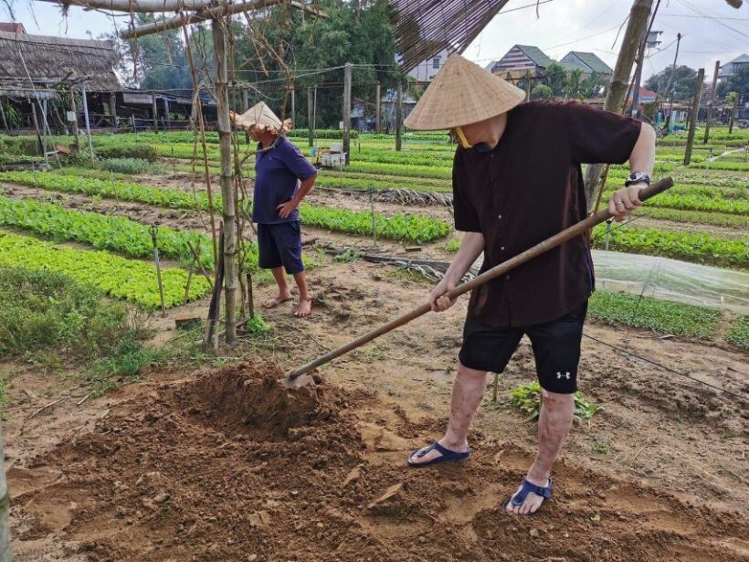 Farming with Farmers at ancient vegetable Village "Tra Que" - Who Should Consider This Tour?