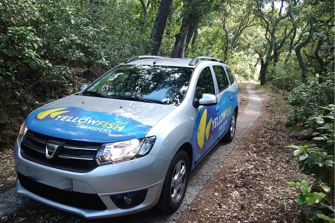 Faro airport - Albufeira: Private Return Transfer - The Value of a Private Transfer